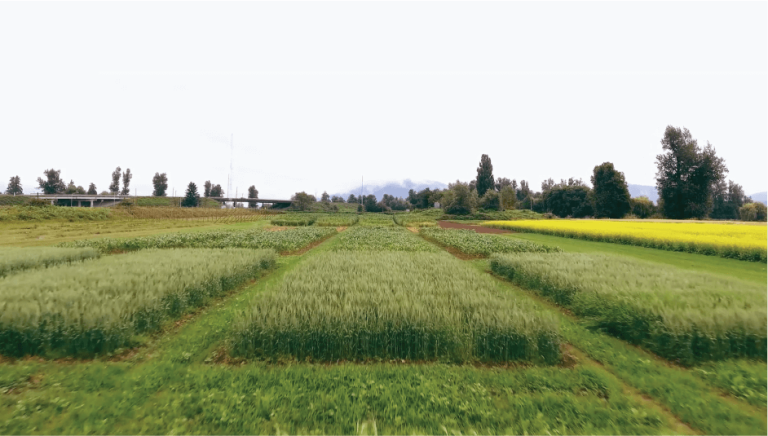 About CleanBC - CleanBC