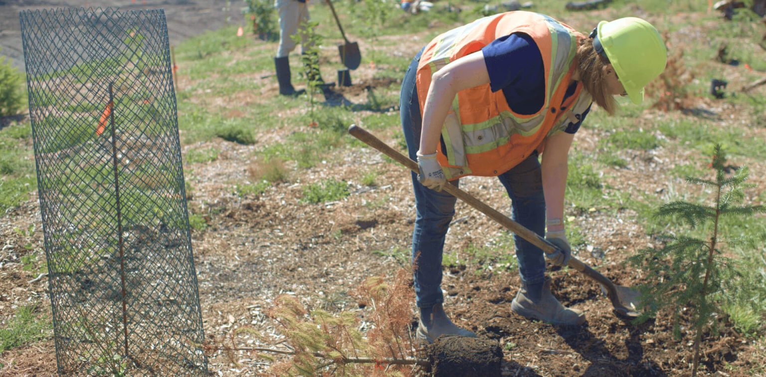 Climate action stories - CleanBC